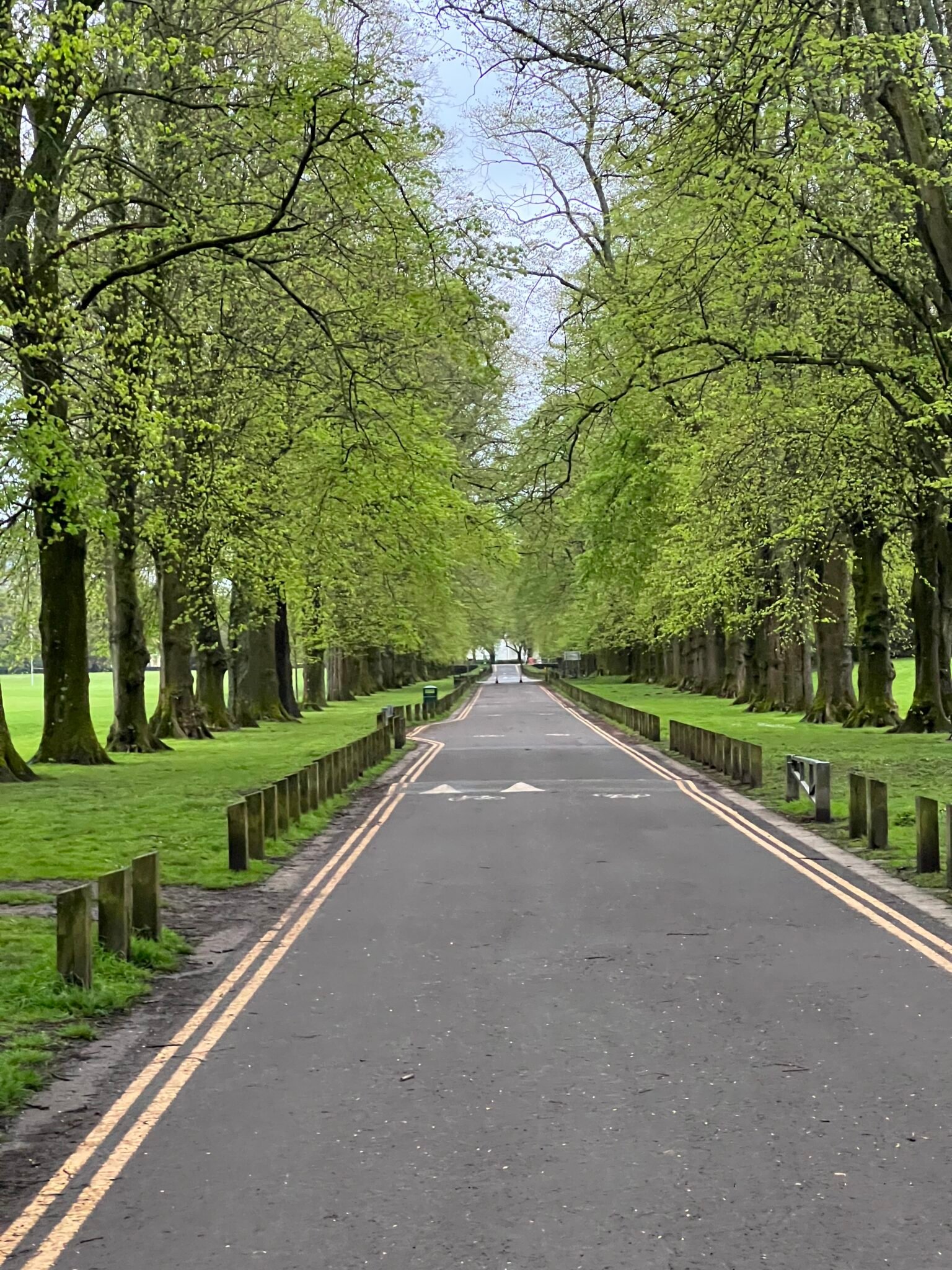 What Makes Pontcanna Cardiff’s Most Desirable Neighbourhood in 2026 ...