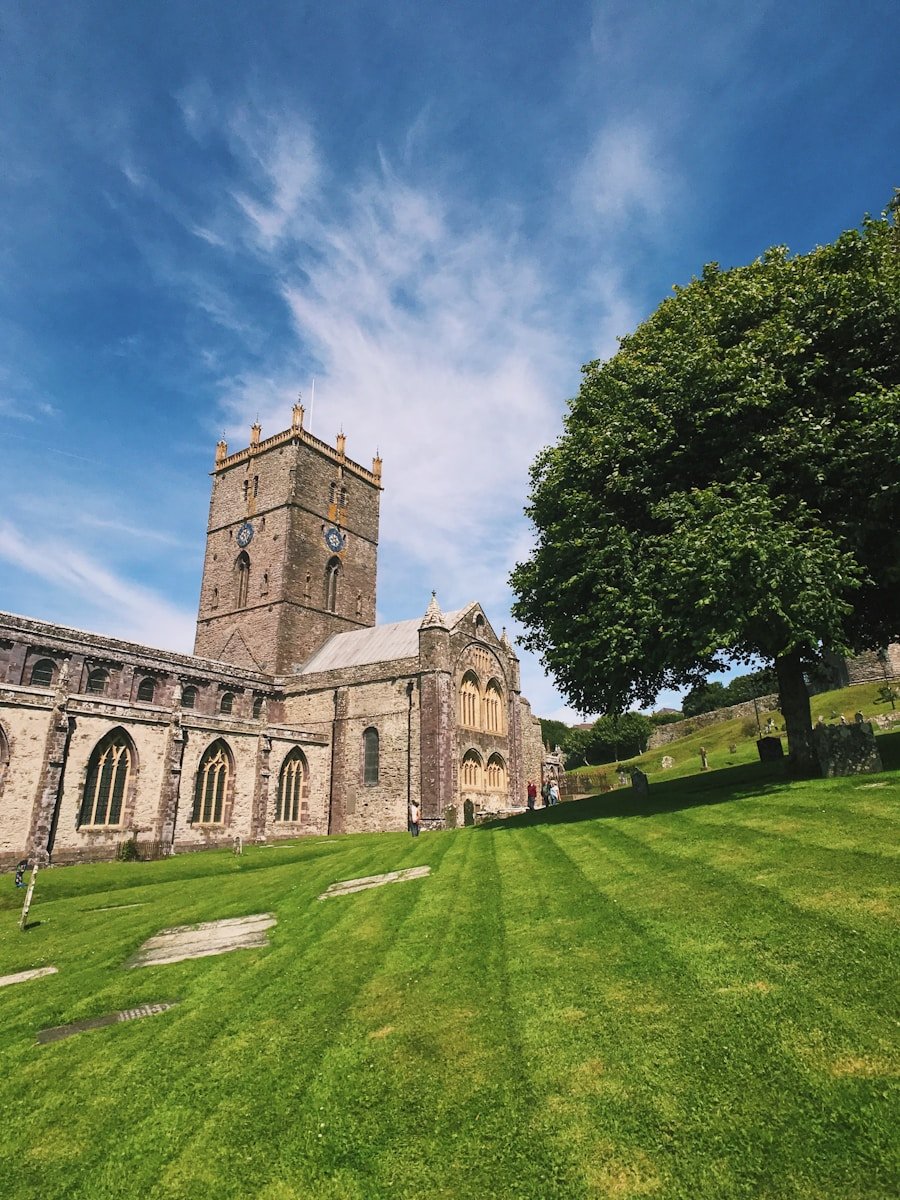 The Story of St David’s Day: Wales, Its Patron Saint, and a National ...